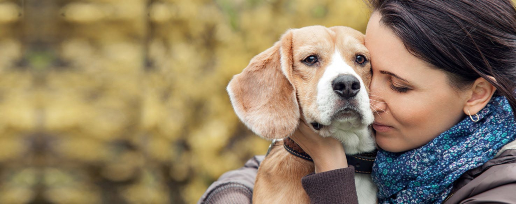 Pet Cremation NSW | Animal Cremation | Forget Me Not Pets