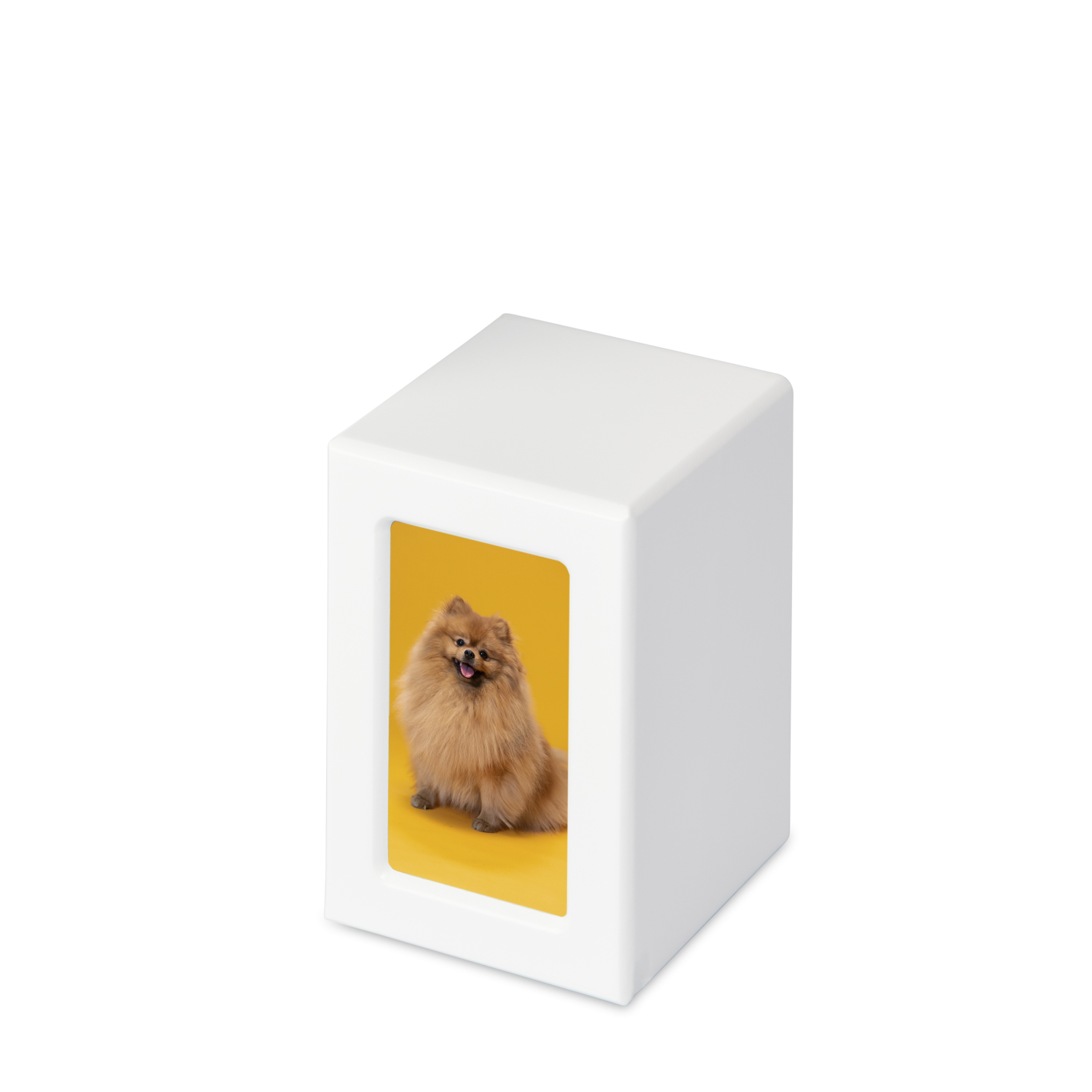 Pet Urns and Timber Boxes | Forget Me Not Pets